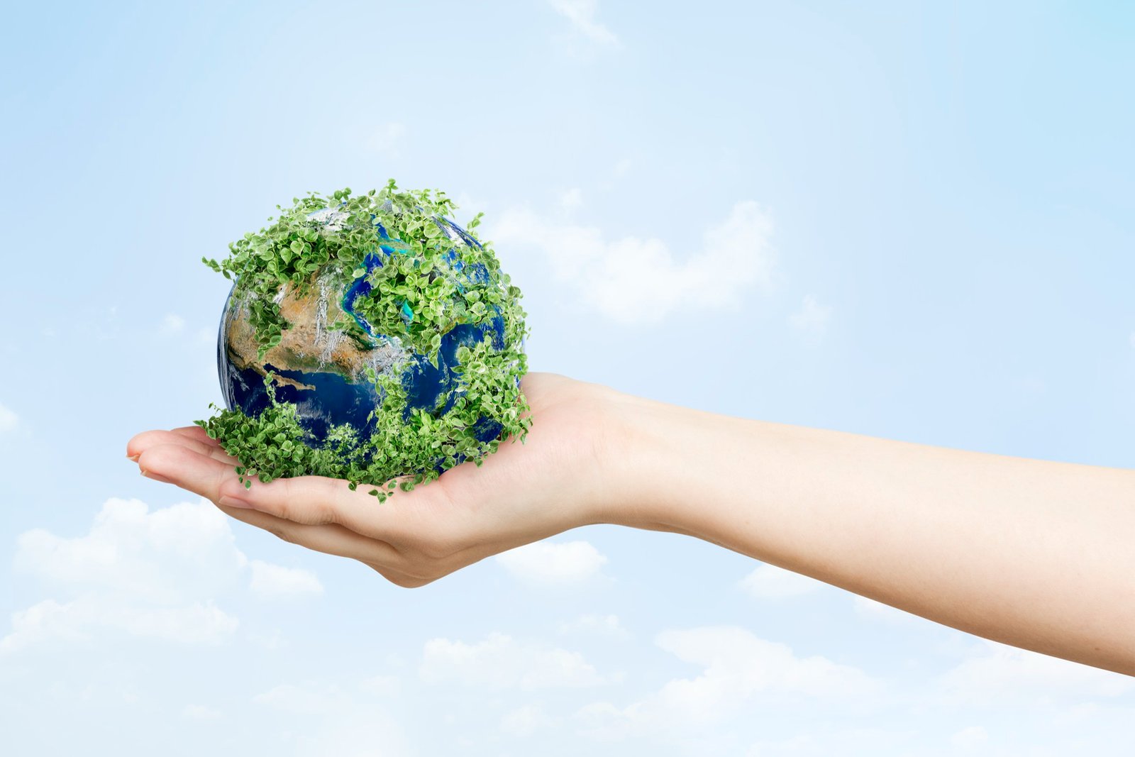Diamondbrite and Sustainability